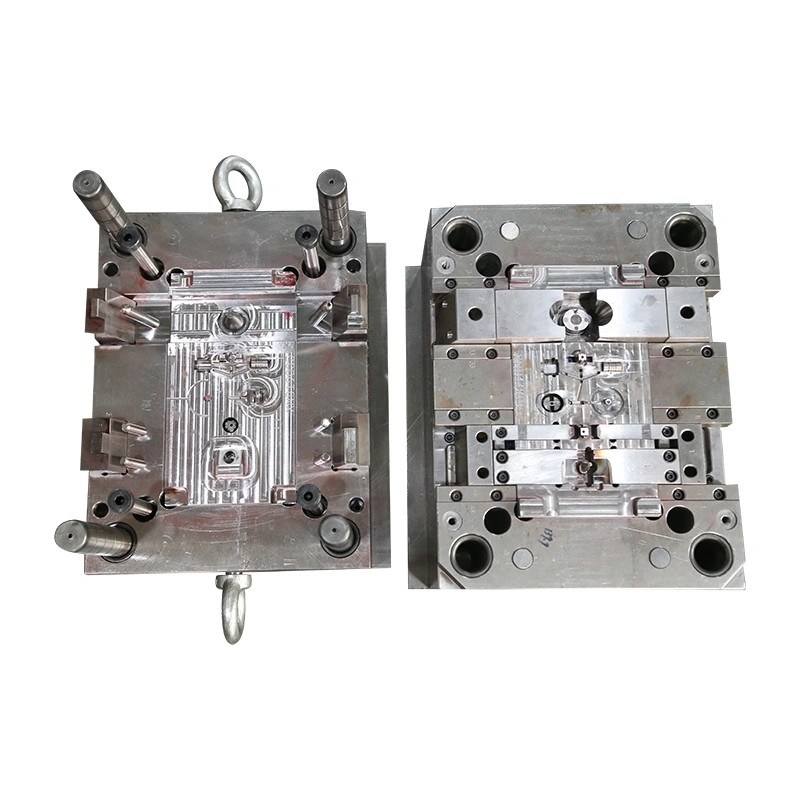 HASCO Base Two Cavity Mould Dual Shot Plastic Injection Mould For ...