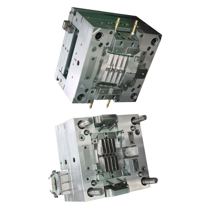 HASCO Base Two Cavity Mould Dual Shot Plastic Injection Mould For ...